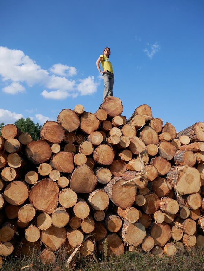 A Girl Poses on Top of a Stack of Logs Stock Photo - Image of lumber ...