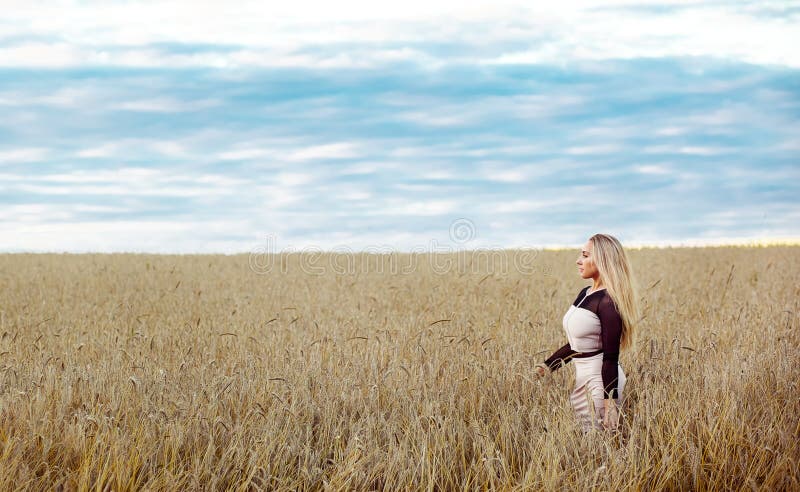 Girl Posing in a Field at Sunset Stock Photo - Image of glamour, hair ...