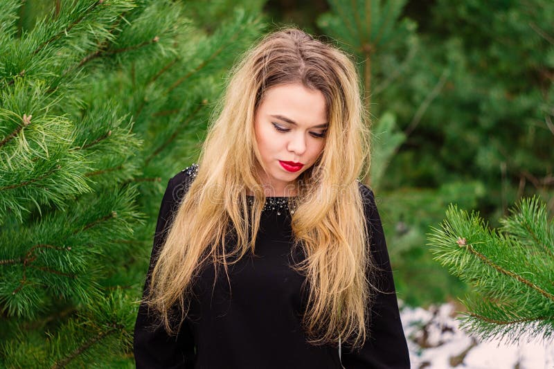 Girl posing in pines stock photo. Image of beautiful - 86642000