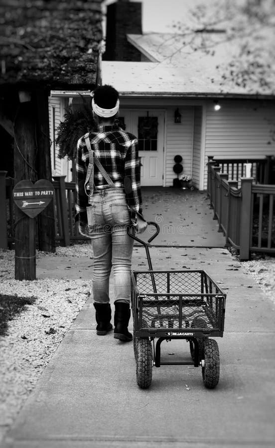 Happy Wagon Trail Stock Photos - Free & Royalty-Free Stock Photos from ...