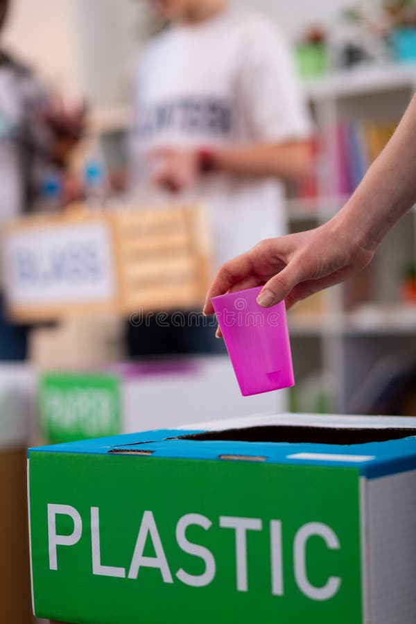 Girl Putting Pink Plastic Cup into Box while Sorting Waste Stock Image ...