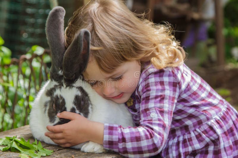 Girl and rabbit stock image. Image of people, young, child - 71198315