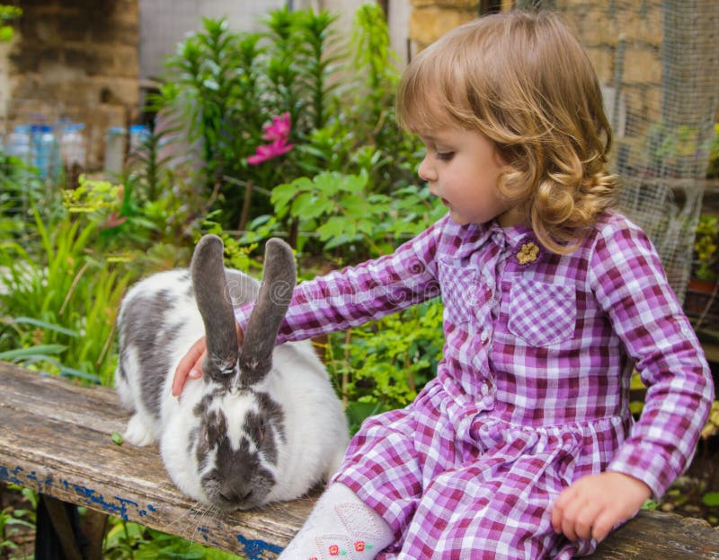 Girl and rabbit stock photo. Image of kids, cute, rabbits - 71198648