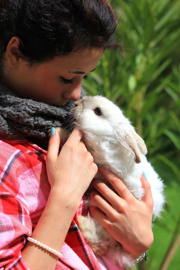 Girl and Rabbit stock photo. Image of friendly, young - 33389528