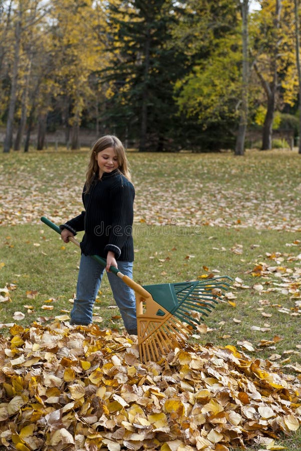 Girl Raking Leaves stock photo. Image of outdoors, colorful - 32114932