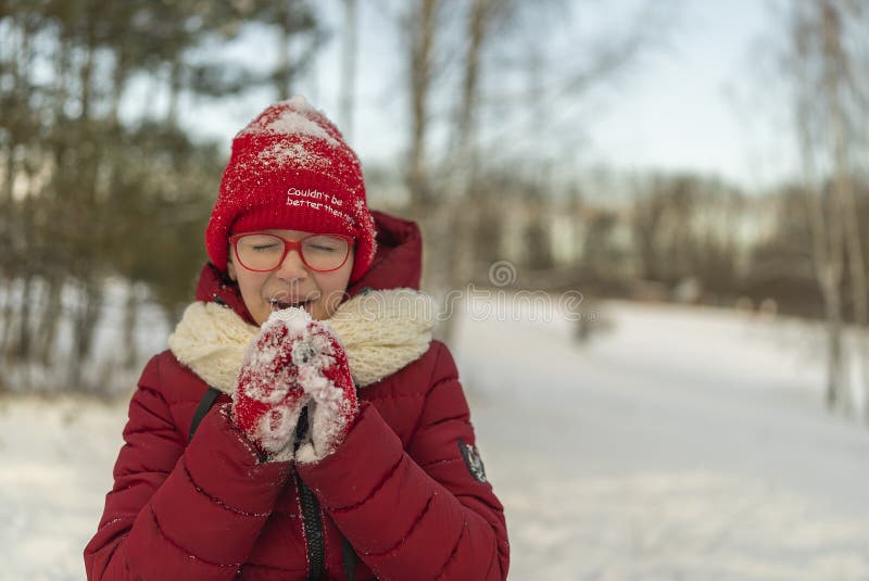 Cow Eating Hay in a Snow Storm Stock Image - Image of grazing, eating ...