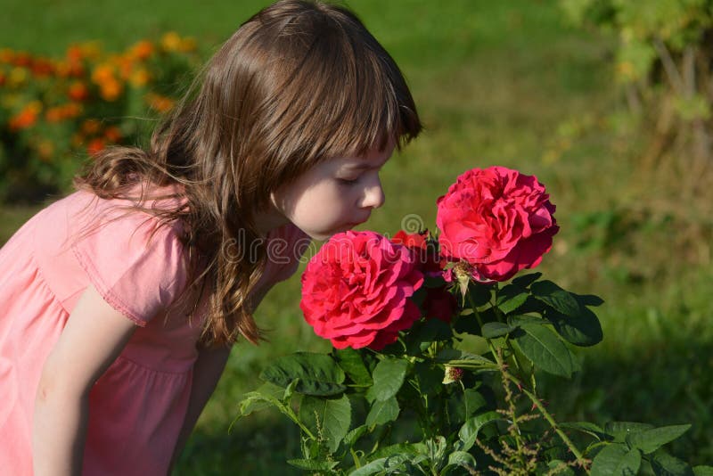 460 Girl Smelling Red Roses Photos - Free & Royalty-Free Stock Photos ...