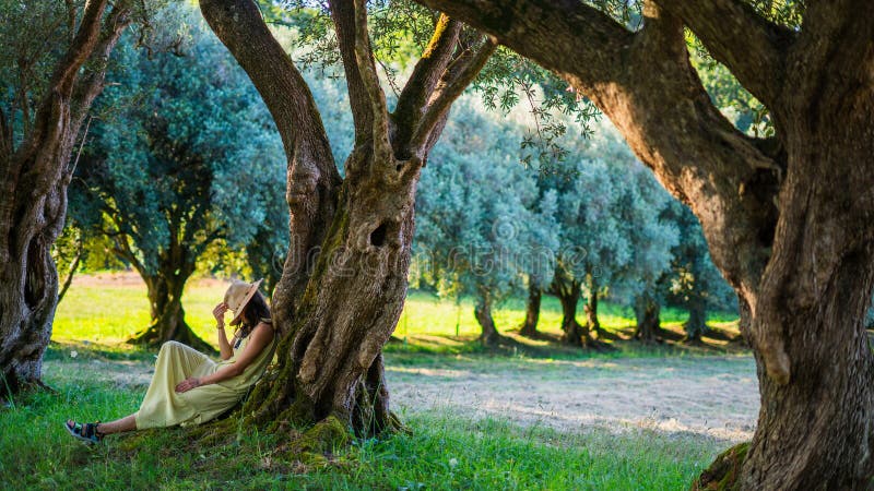Girl Relaxing in the Shade of a Tree Stock Image - Image of resting ...