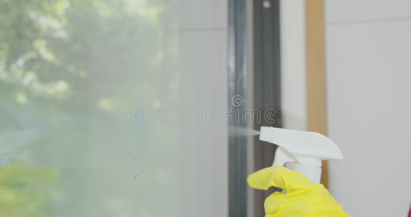 Girl Removing Cleaning Solution from Glass with Special Tool, Cleaning ...