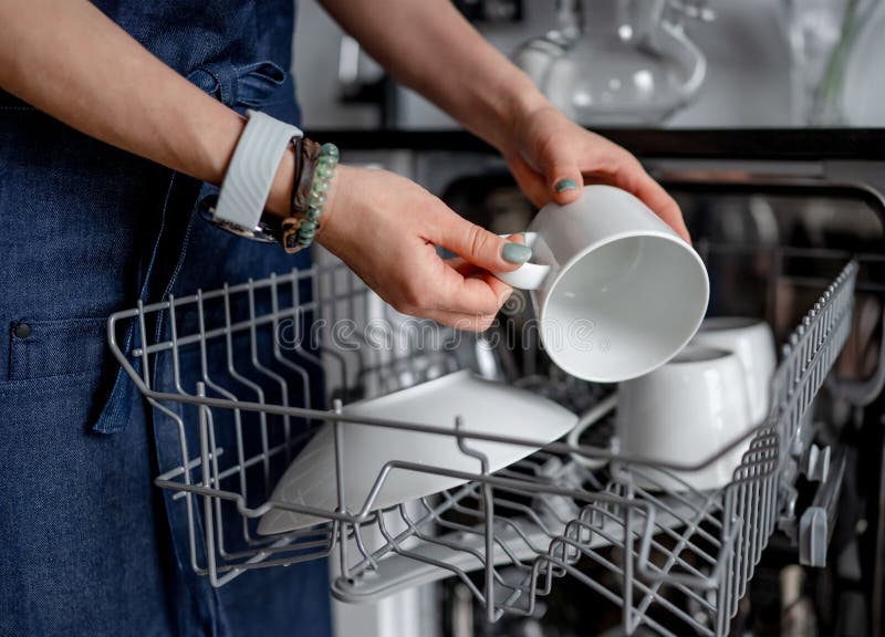 Girl Pulls Clean Cup from Dishwasher Stock Photo - Image of fresh ...