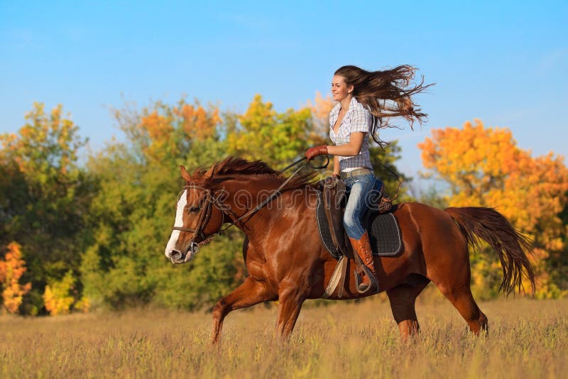 Girl riding a horse stock photo. Image of dressage, lifestyle - 22502348