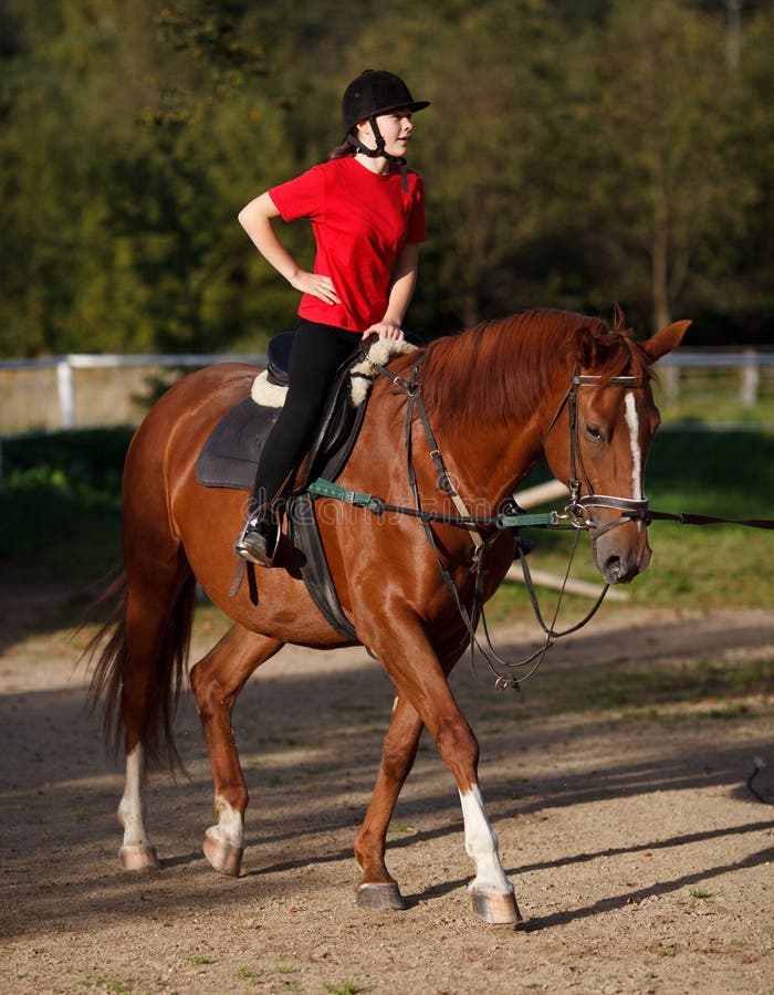 Girl riding horse stock photo. Image of exercising, female - 59579964
