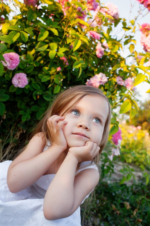 Girl in rose garden stock image. Image of flower, colorful - 25236633