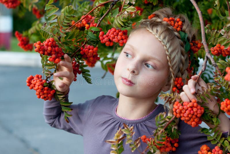 Girl with rowan stock image. Image of girls, hair, cheerful - 78374777