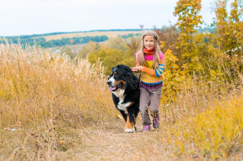 Girl Runs Around with Big Dog on Autumn Hills of Race Stock Image ... Girl Runs Around with Big Dog on Autumn Hills of Race Stock Image ...