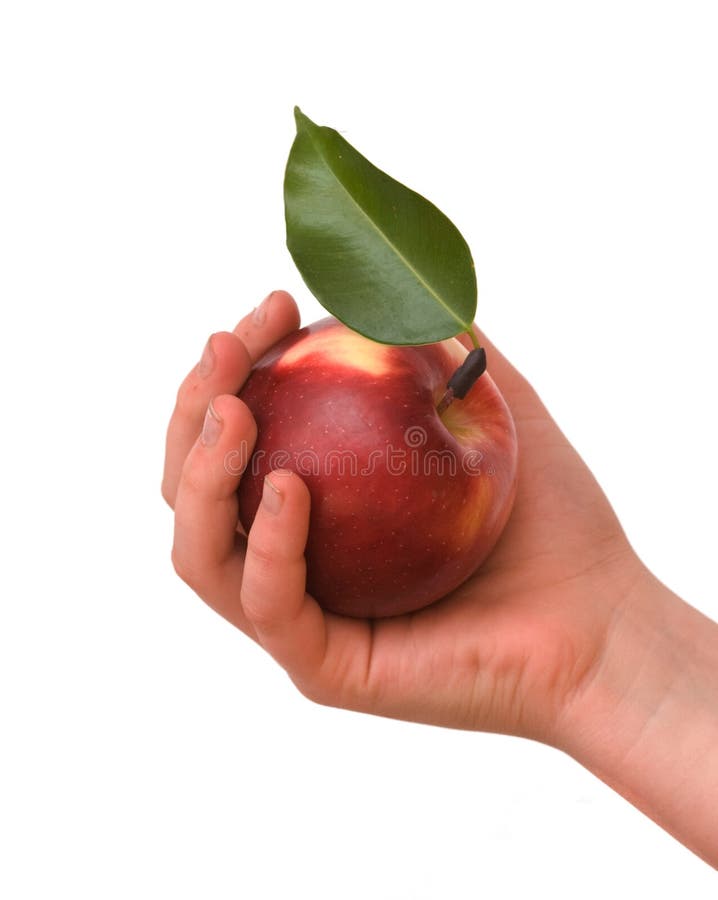 Hand In Apple Picture. Image: 1757689