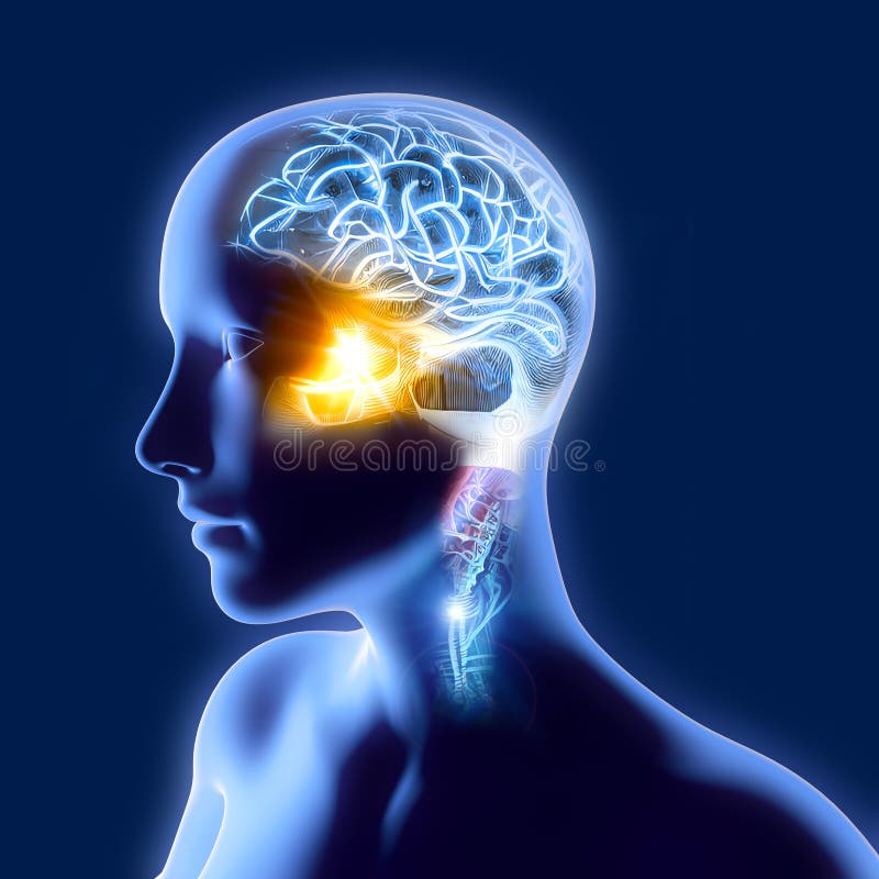 Girl Seen in Profile, Robotically Modified, Cyborg with Human Features ...