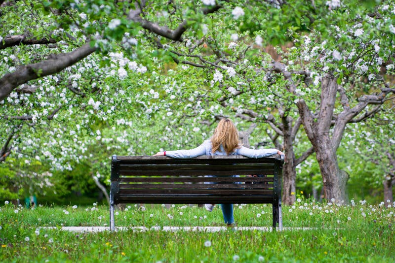 A Girl Sits on a Bench in a Blooming Apple Orchard Stock Image - Image ...
