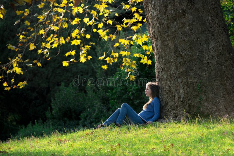 Girl Sitting on the Grass Under Maple Tree in Autumn Stock Photo ...