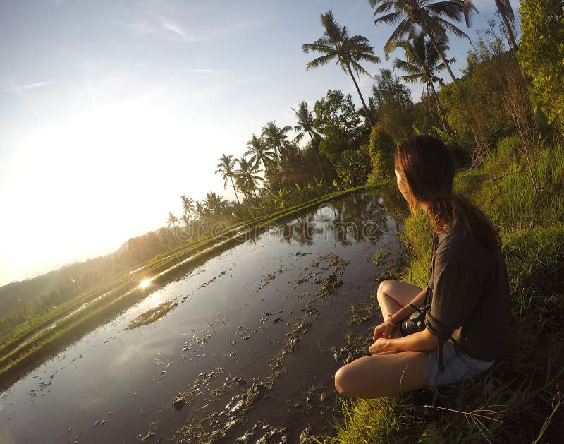 Girl Sitting in Rice Fields during Sunset Stock Photo - Image of grain ...