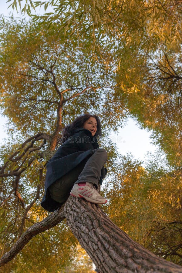 Girl sitting on a tree stock image. Image of female - 220146291