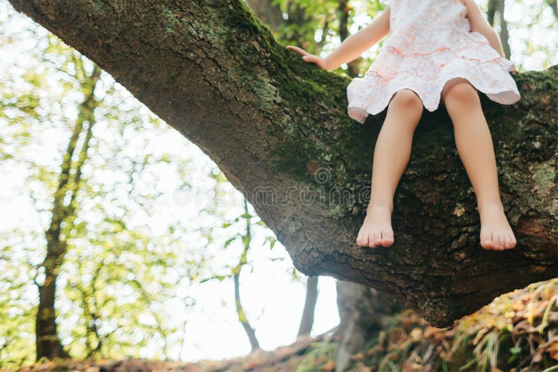 Girl Sitting on a Tree. Foot. Feet Stock Image - Image of hand, child ...