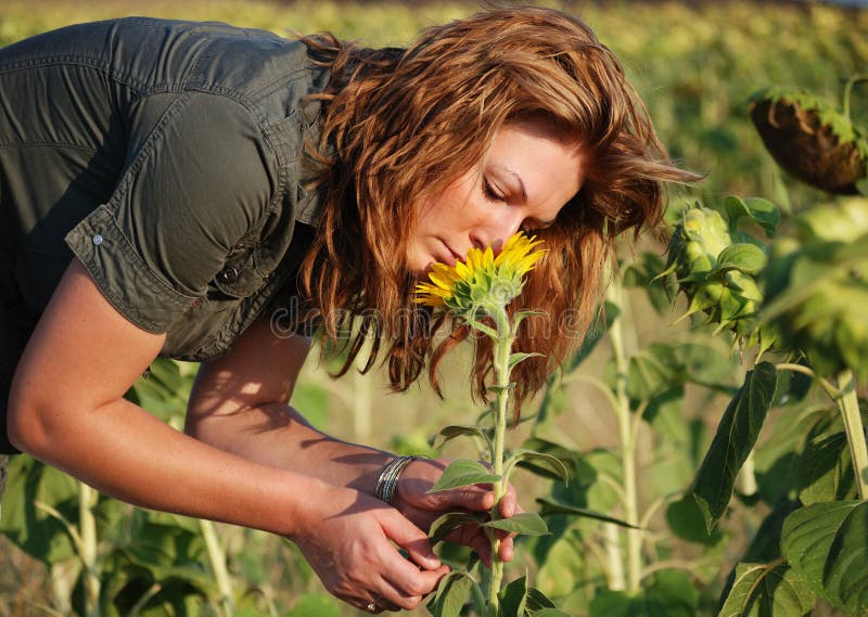 Girl smell sunflower 2 stock image. Image of hand, sunflower - 5827325