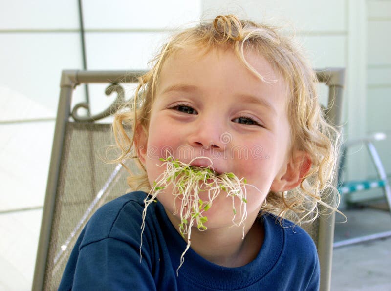Girl sprouts stock photo. Image of sprouts, chew, alfalfa - 16086624