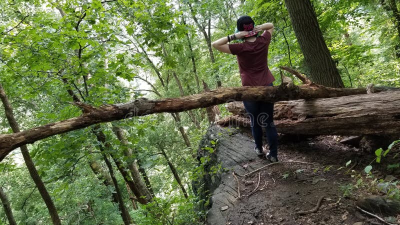 Overlook editorial image. Image of trees, nature, standing - 122962995