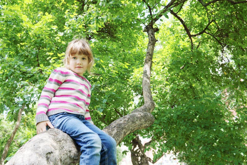 Girl in Striped Sweater Sitting on Tree Trunk and Looking Stock Photo ...