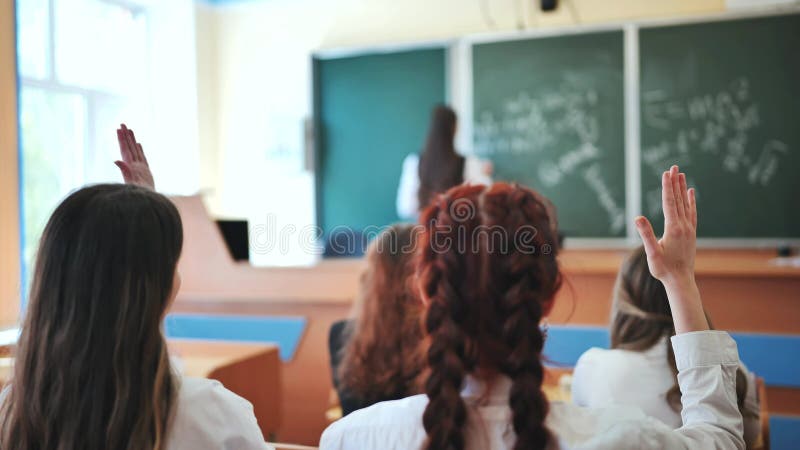 Girl Students Raise Their Hands in Math Class. Stock Footage - Video of ...