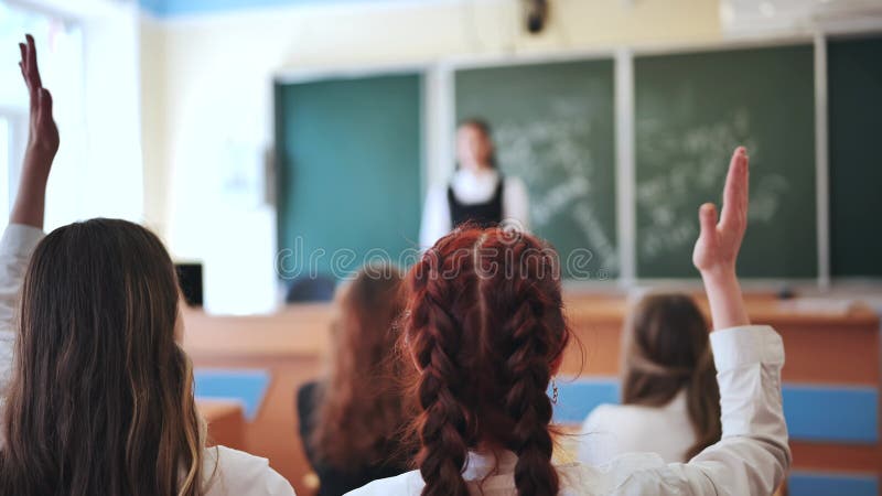 Girl Students Raise Their Hands in Math Class. Stock Footage - Video of ...