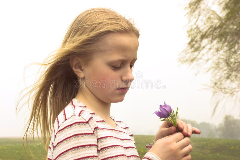 Girl taking spring flower stock photo. Image of color, baby - 920350