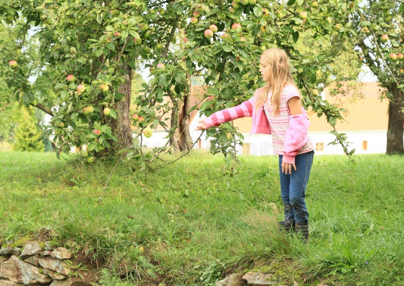 Girl throwing an apple stock photo. Image of fall, apple - 44248082