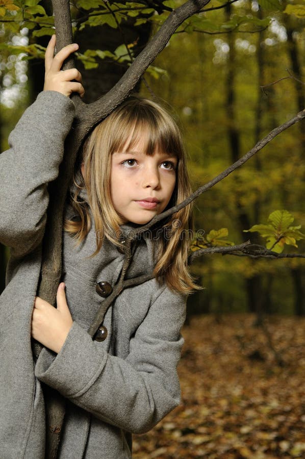 Girl and tree stock photo. Image of fall, industry, child - 11746360