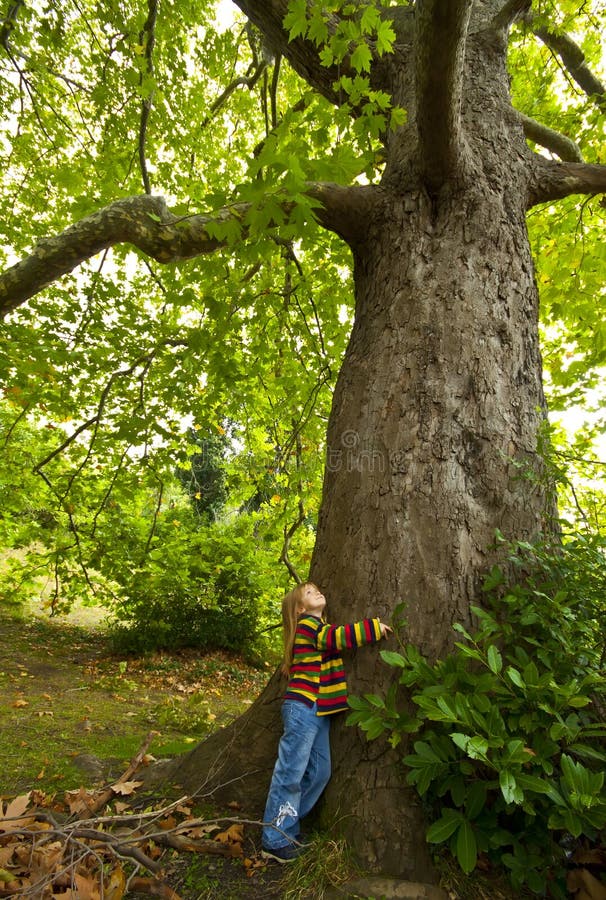 Tree Hugger Environmentalist, Hug Save Environment Stock Photo - Image ...
