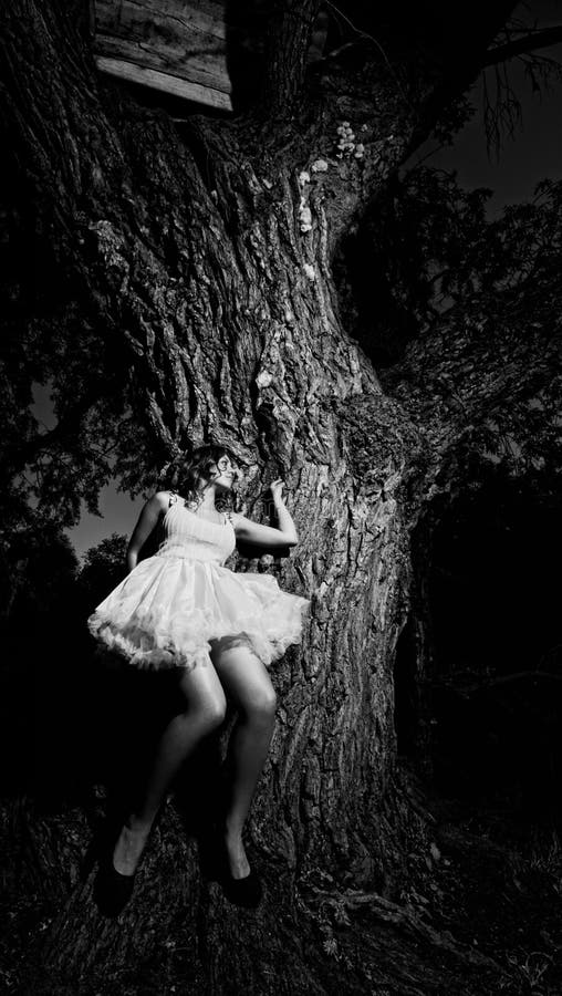 Girl and tree stock photo. Image of dream, creativity - 25230298