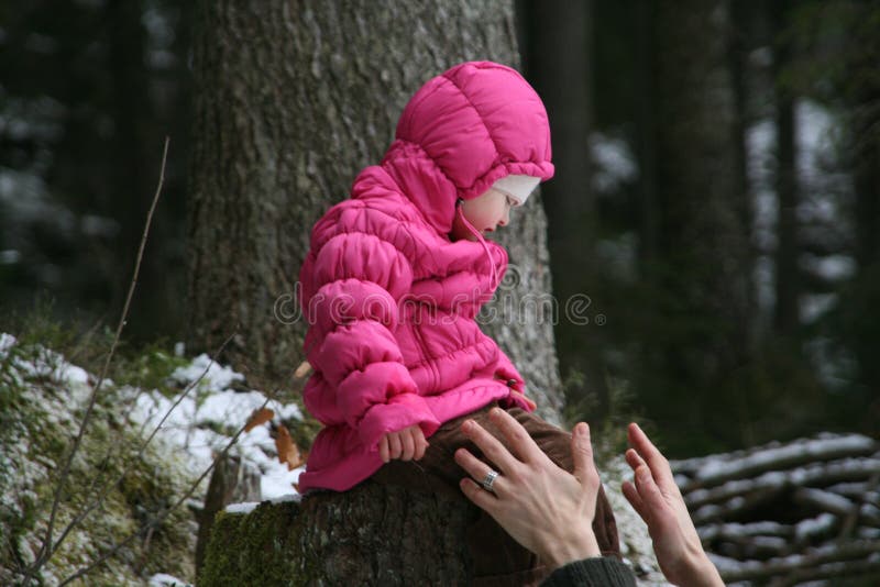 207 Tree Reaching Hands Photos - Free & Royalty-Free Stock Photos from ...