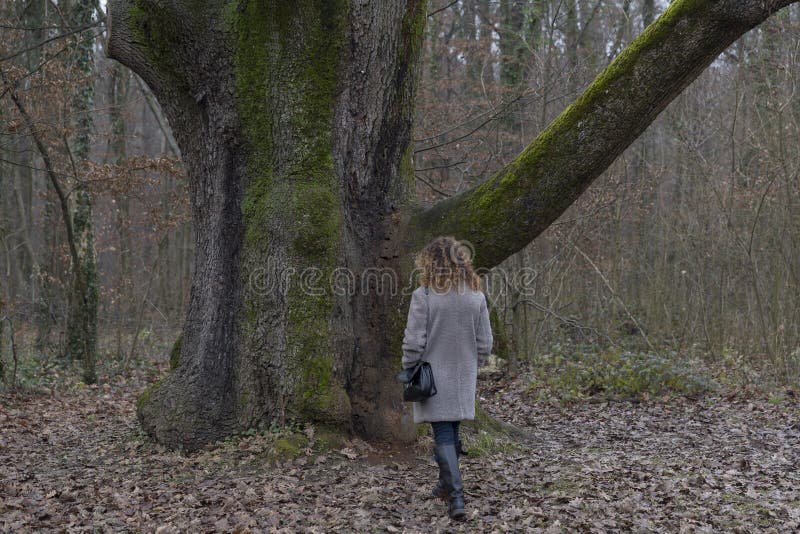 Girl and the tree stock image. Image of fashion, young - 205844041
