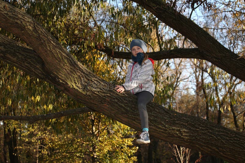 Kids in Trees stock photo. Image of investment, care, climb - 1631022