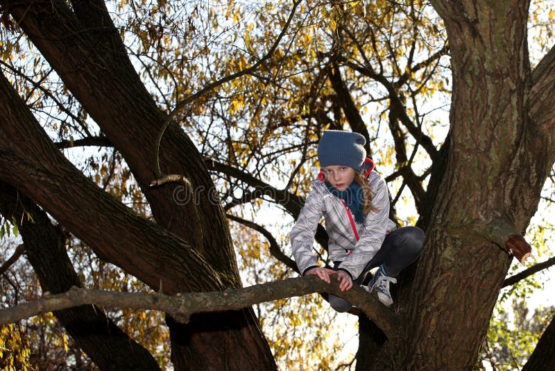 Girl in a tree stock photo. Image of beautiful, garden - 34595270