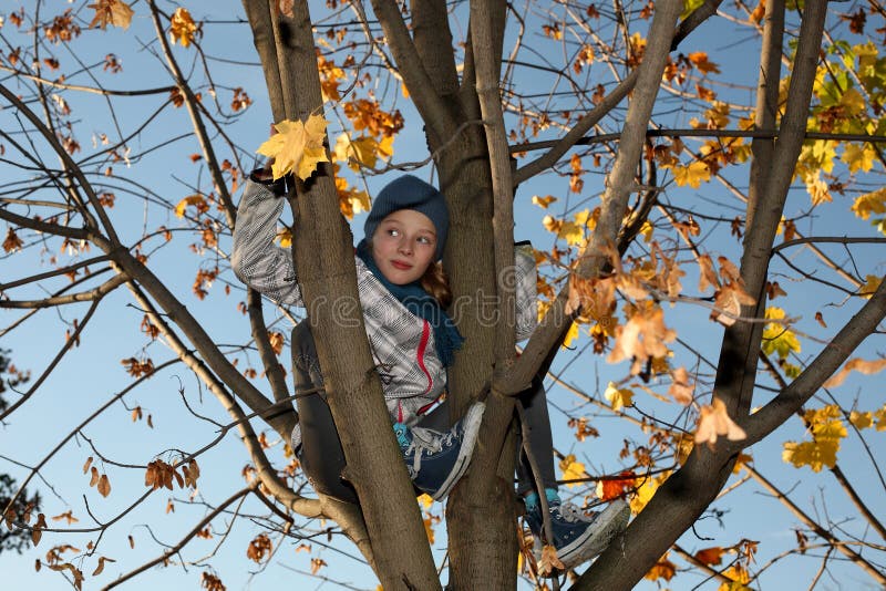 Girl in a tree stock image. Image of person, play, playing - 34595359