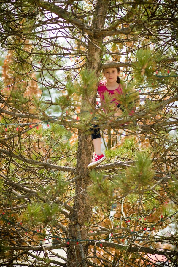 Girl in a tree stock photo. Image of sitting, child, playing - 30754900