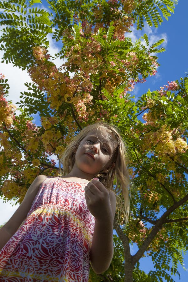 Girl Under Tree with Flowers Stock Image - Image of girl, petals: 28854381