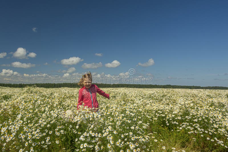 A Girl Walking in a Huge Field with Blooming Field Daisies Stock Photo ...