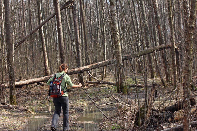 A Girl Walking through the Swamp in the Woods Stock Image - Image of ...