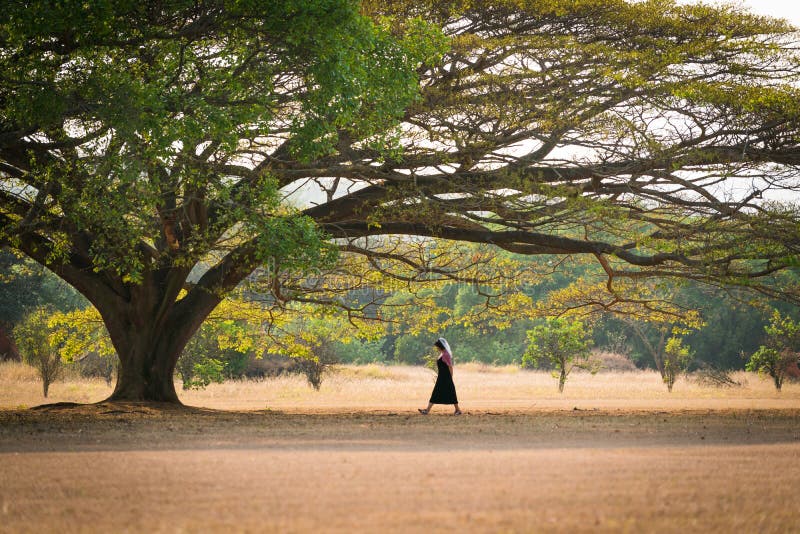 Girl Walking Under a Big Tree Editorial Stock Image - Image of woman ...