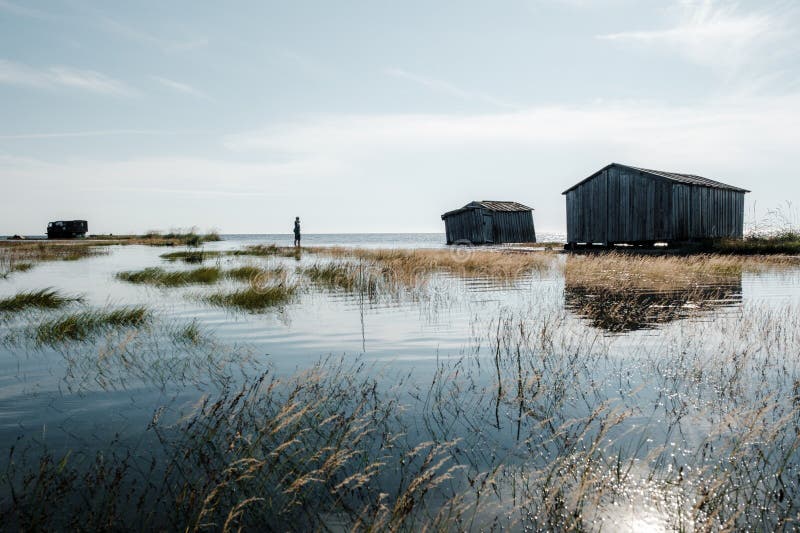 A Girl Walks on the Water during the White Sea Overflow Stock Photo ...