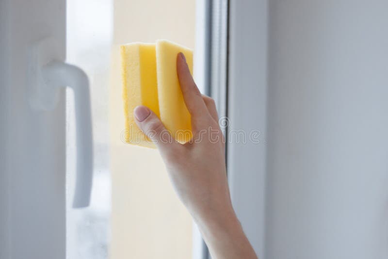 The Girl Washes the Window with a Sponge. Home Routine. Cleaning Stock ...