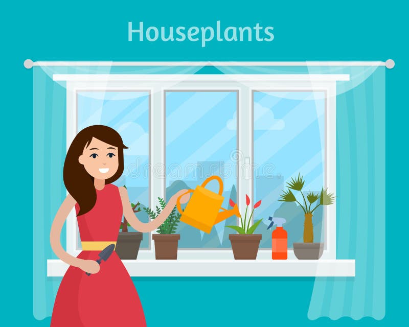 Girl Watering House Plants on Window. Stock Vector - Illustration of ...